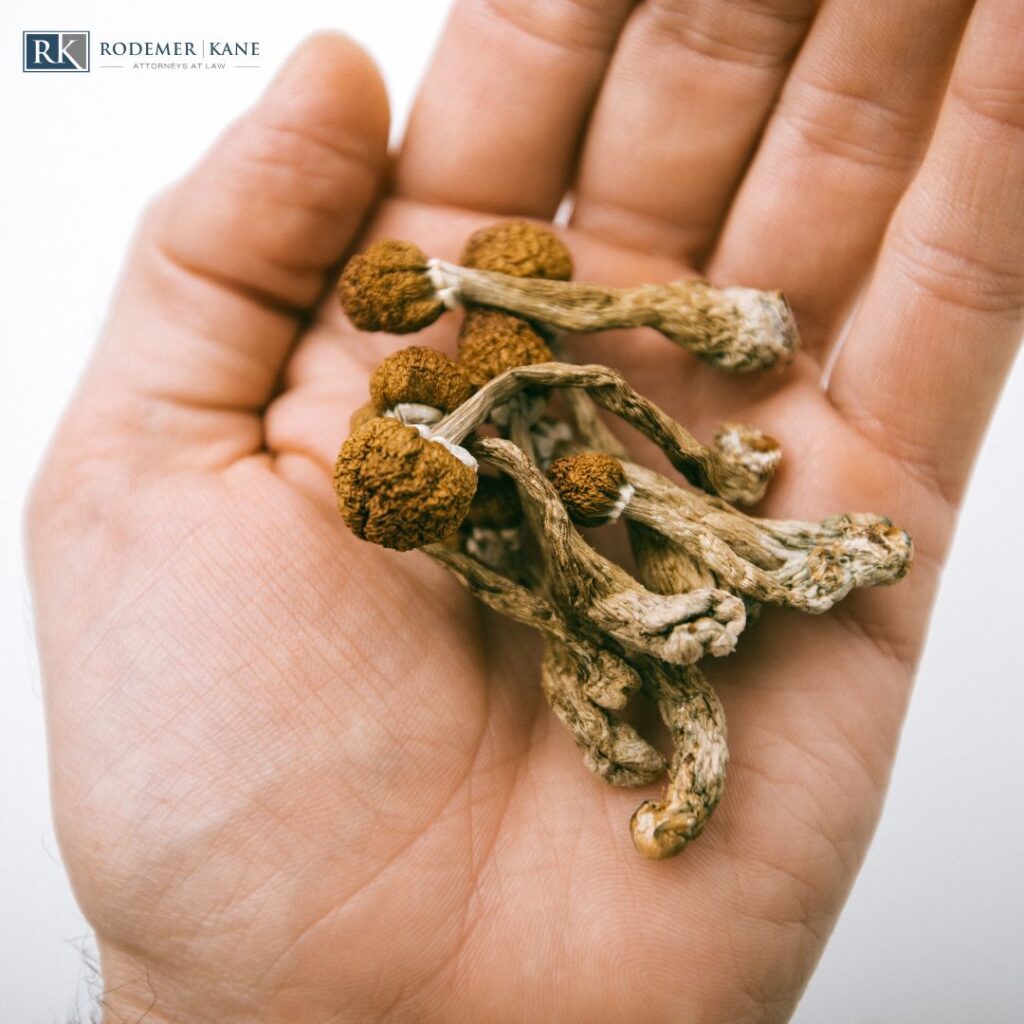 A Guide To Recreational Use of Psychedelic Mushrooms in Colorado - Colorado's New Magic Mushroom ...